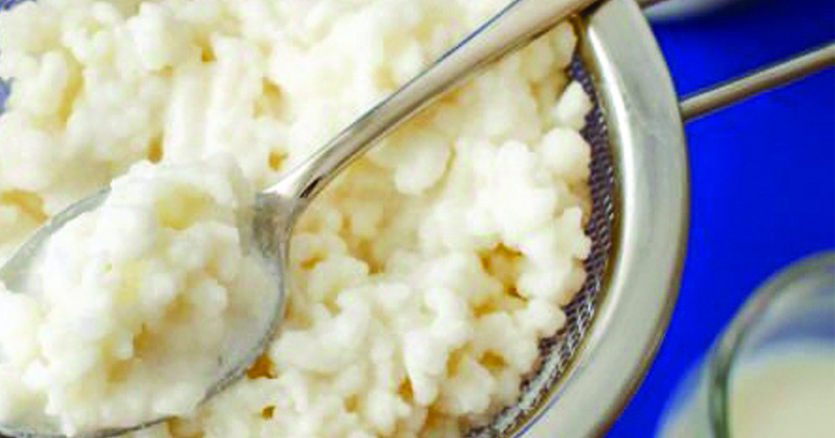 Comment préparer le kéfir à la maison