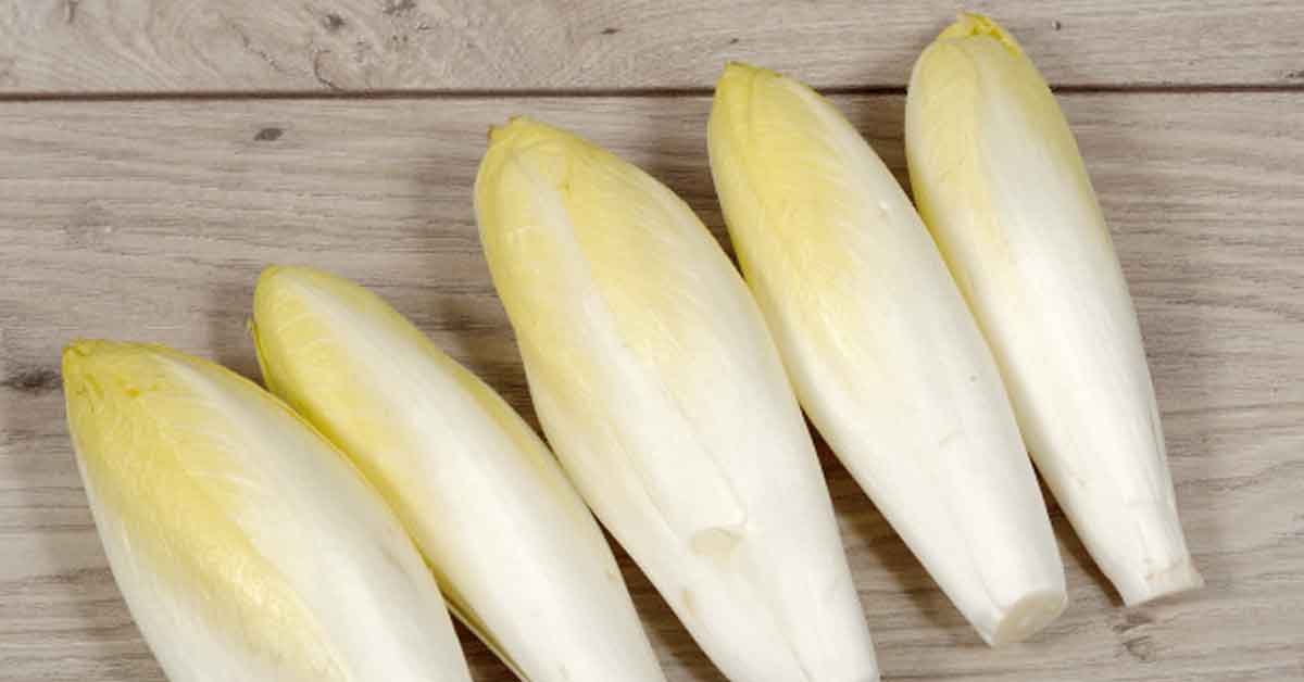 Endive, ce légume croquant plein de vertus