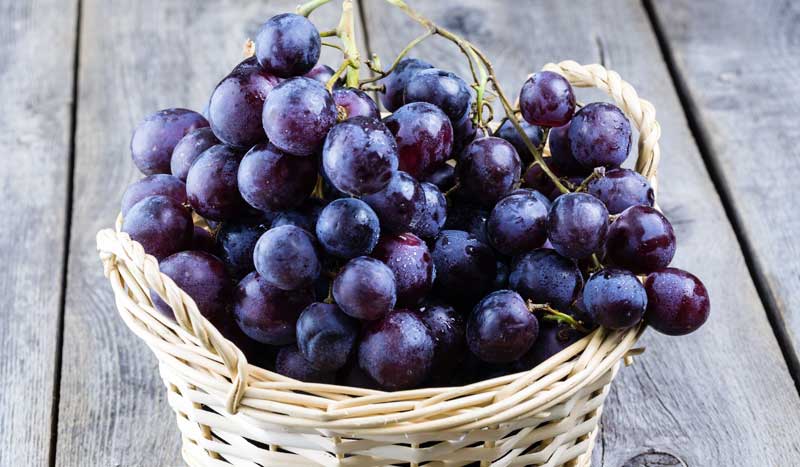Les bienfaits du raisin noir