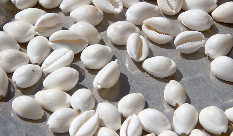 Le cauri : le secret de beauté des femmes Amazighs